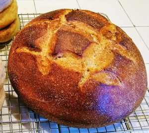 Apple Cider Pain Levain | Red, Round, or Green